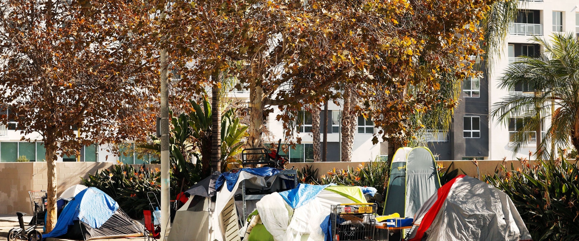 How homeless affect economy?